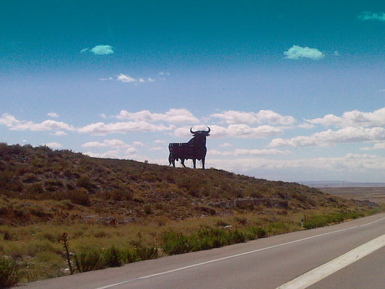 In Jurul Lumii: Omul E Nascut Ca Sa Umble Si Pasarea Ca Sa Zboare