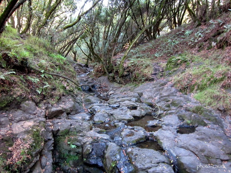 wild women walking: Tilden Regional Park | Lake Anza to Inspiration Point