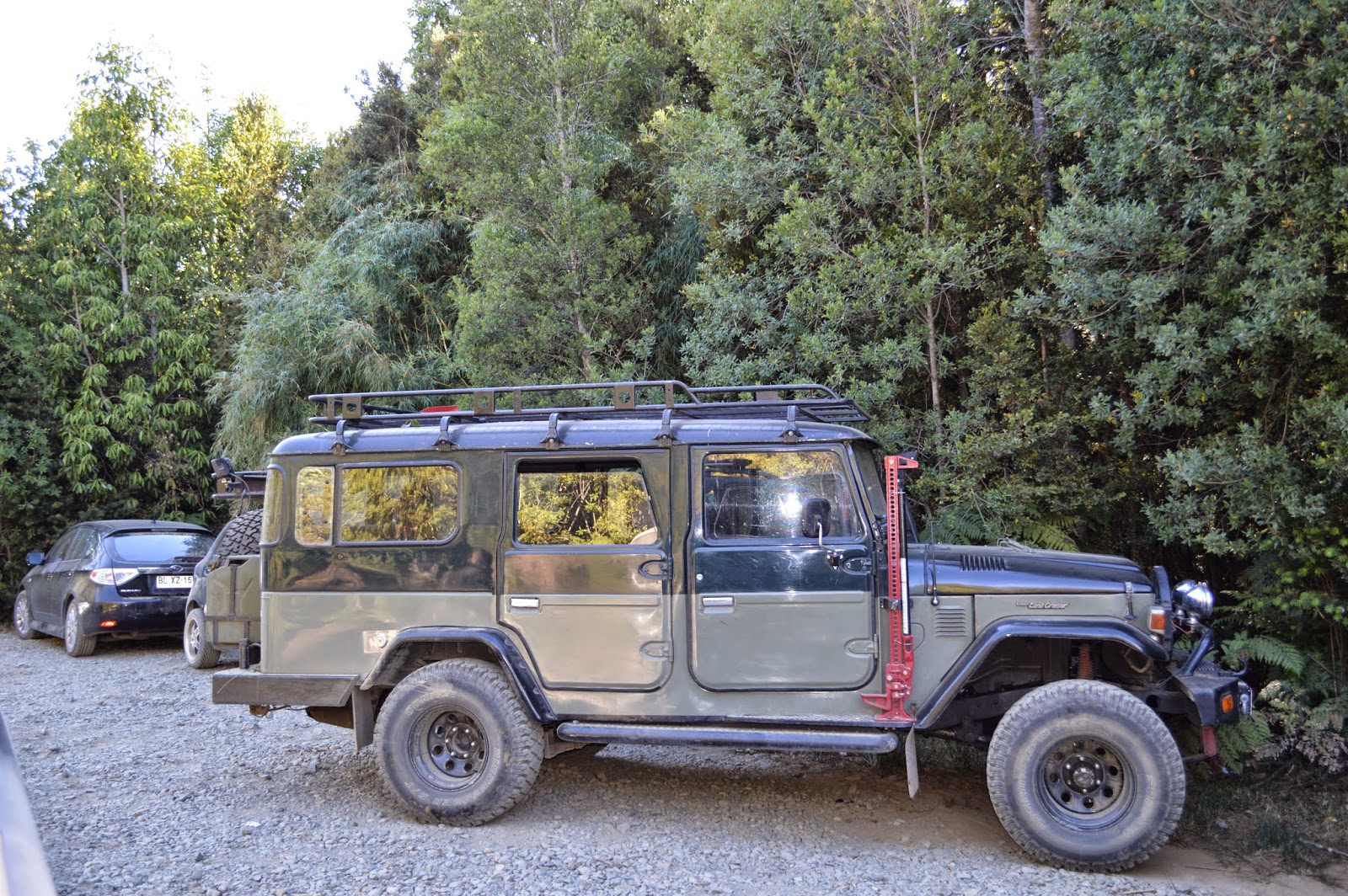 Blog de Viajes y Aventuras : El Parque Oncol en la Selva Valdiviana