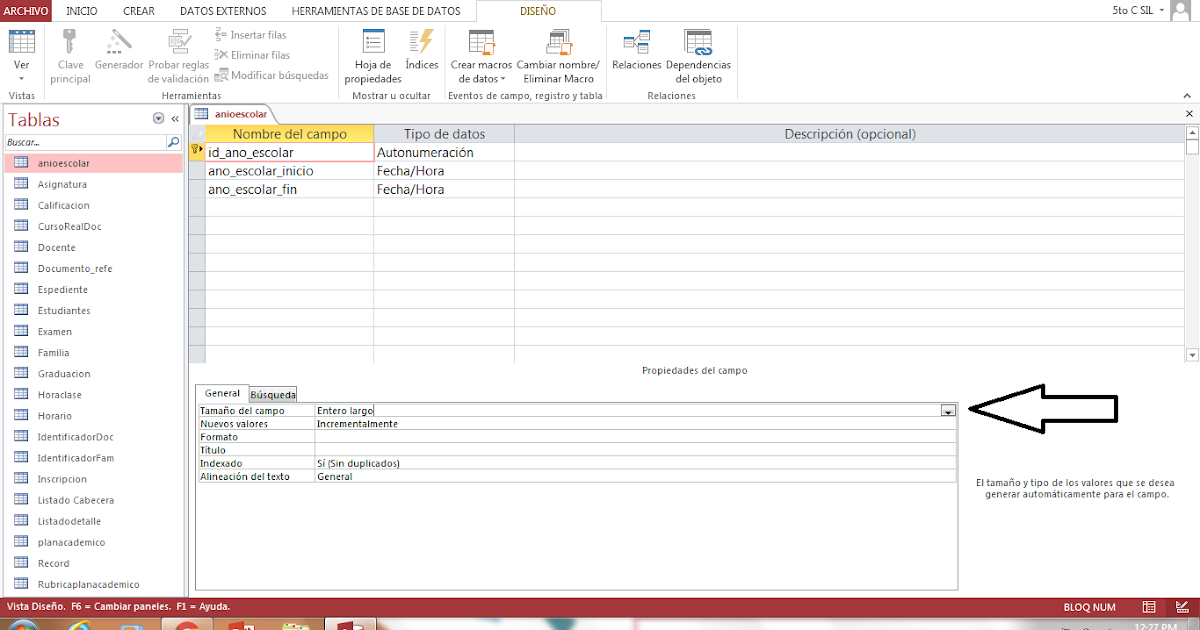 Propiedades de campo en Access 2013