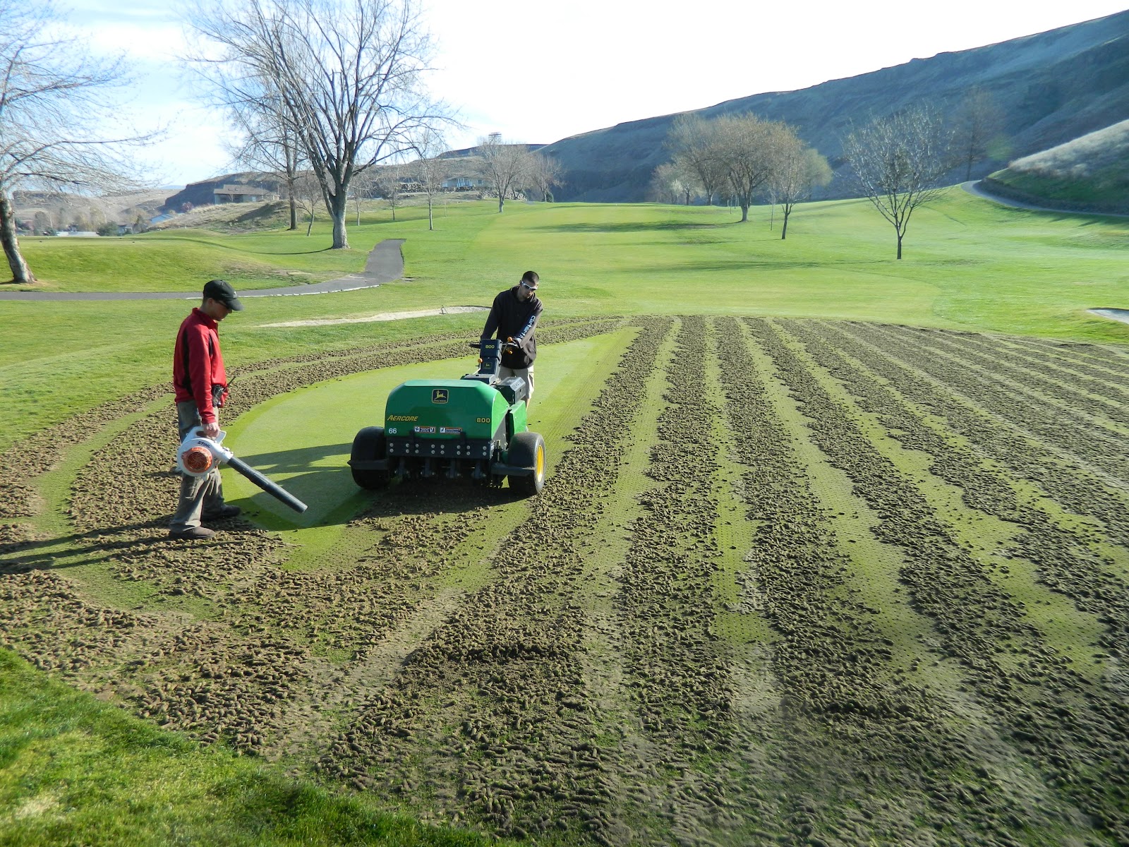 LGCC Golf Maintenance: Greens Aerification