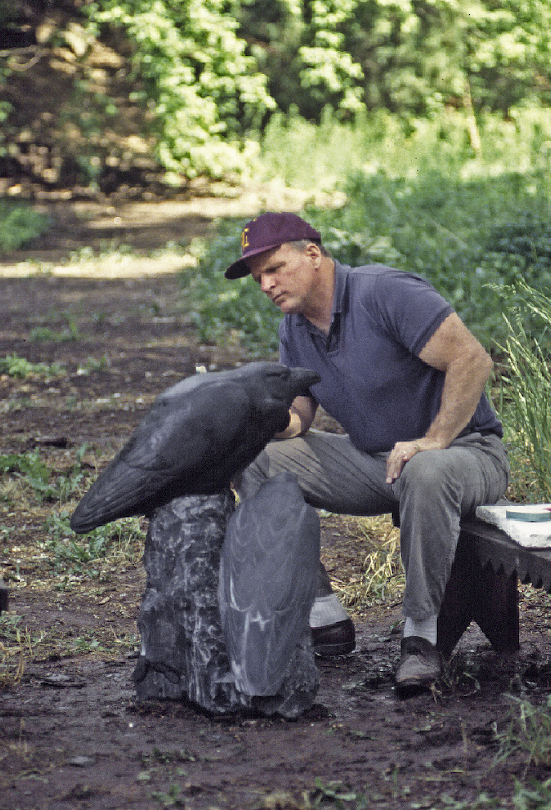 Shoreline Area News: All about crows and ravens - Tony Angell at Wild ...