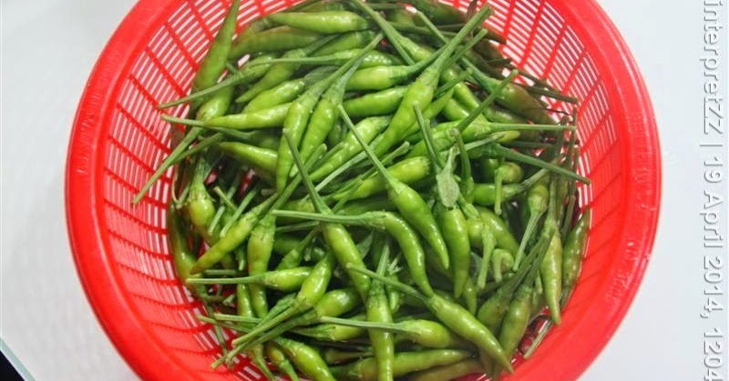 Hasil tuaian cili api pagi semalam.