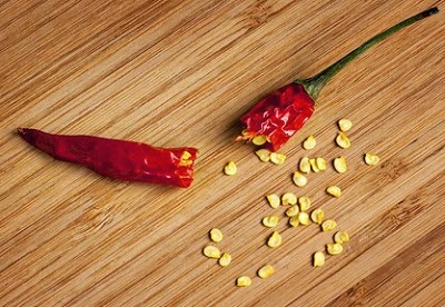 HOW TO GROW HOT CHILLI PEPPERS FROM SEED |The Garden of Eaden