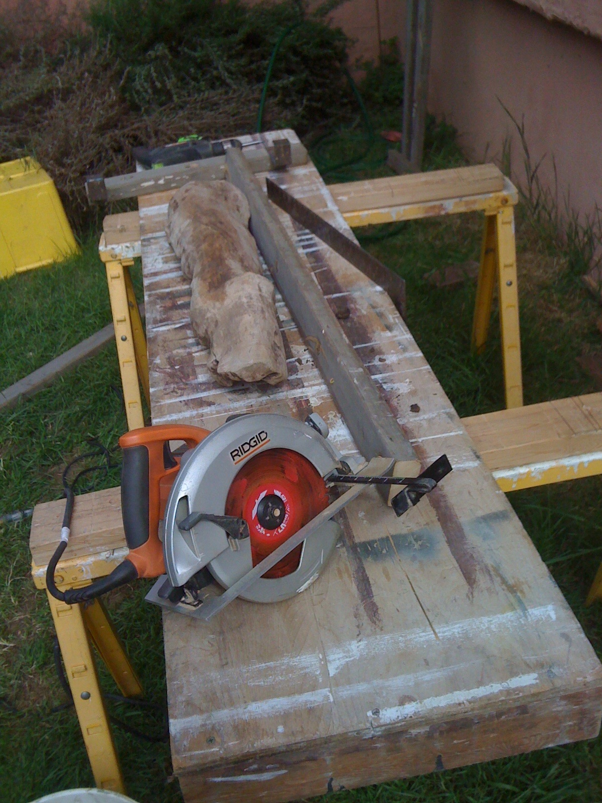 driftedge woodworking: Live edge red cedar legs for fir slab