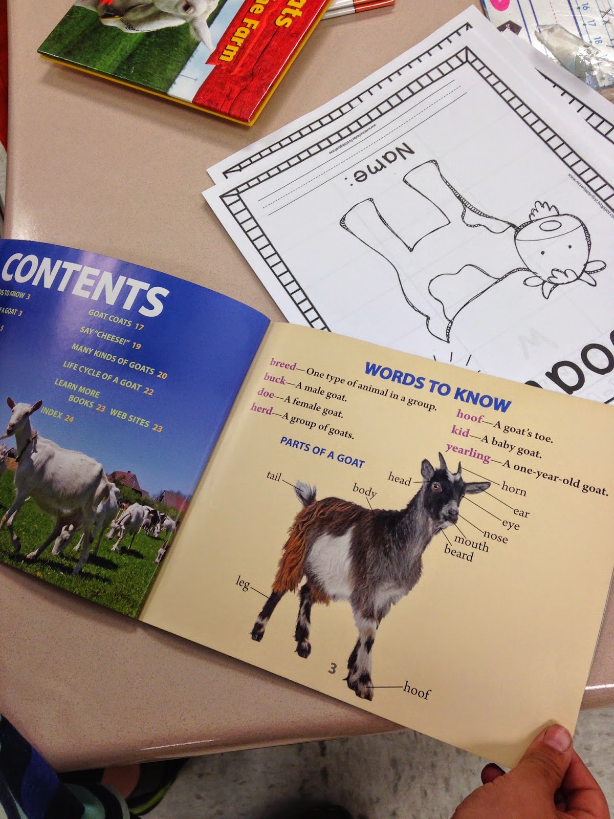 Mrs. Wheeler's First Grade Tidbits: Farm Animal Research