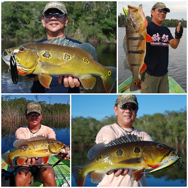 ANGLING WORLD 魔魚釣界: Adventure Fishing @ Amazonia Rio Negro