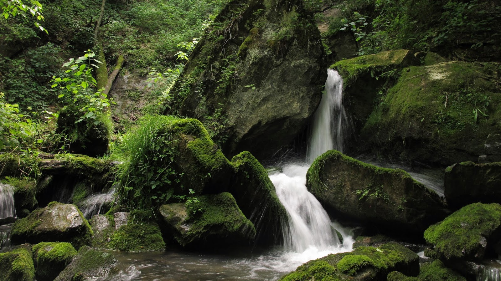 CAVE RIVER VALLEY RIVER CAVE - ADAM HAYDOCK