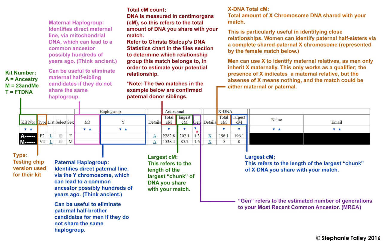 Family Roots and Branches: GEDMatch One-to-One Columns Revealed