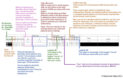 Family Roots and Branches: GEDMatch One-to-One Columns Revealed