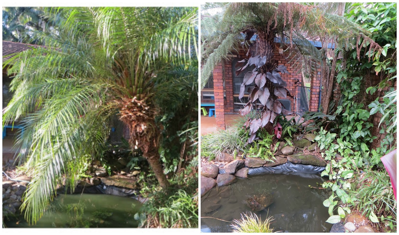 Finding Fifth: Last Week In My Garden #5