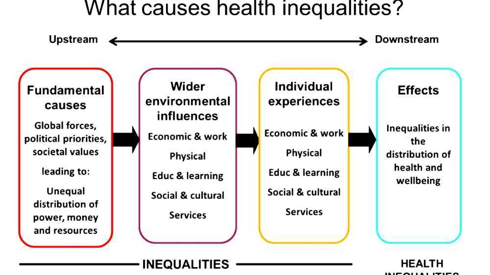Theory of fundamental causes