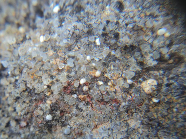 Aerial Geologist: Missouri AAPG Trip - Bennett Spring, Decaturville ...