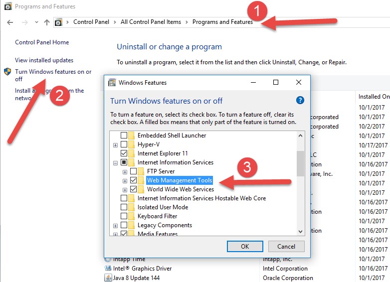 Setup IIS on local windows machine