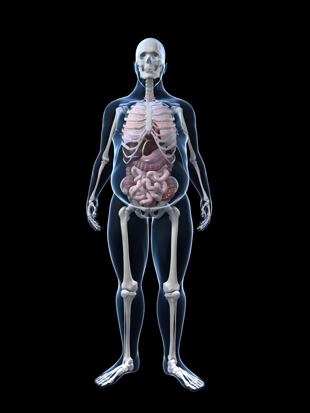 The Mix: Top Seven Obesity Myths