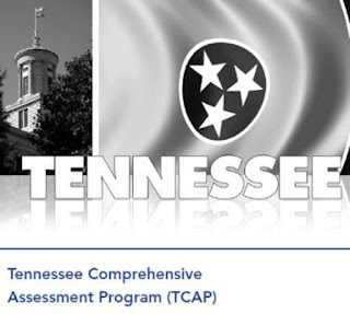 TNMathChic: TOP 10 Things to Know About TCAP TNReady