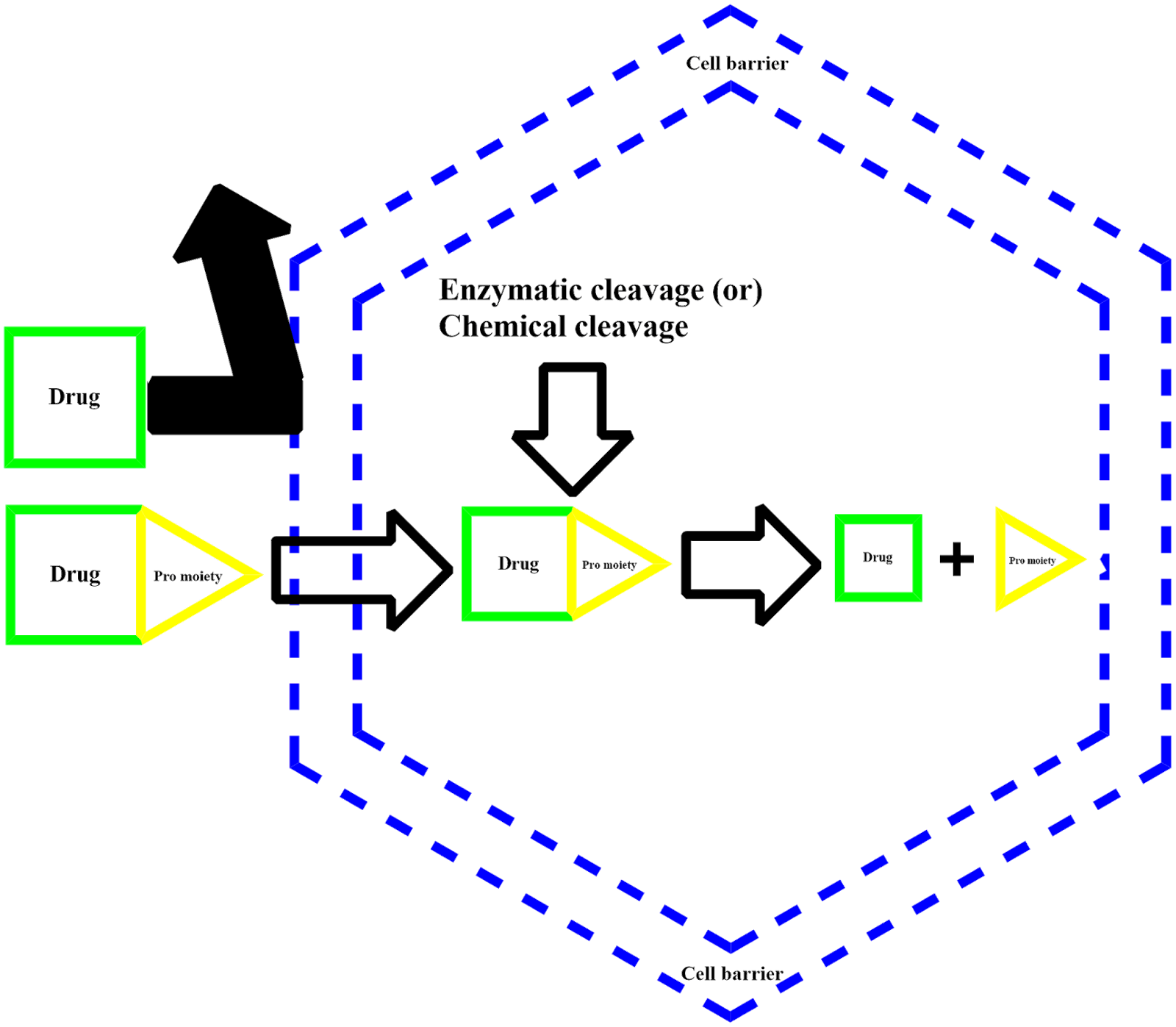 Prodrugs ~ MedChemPedia