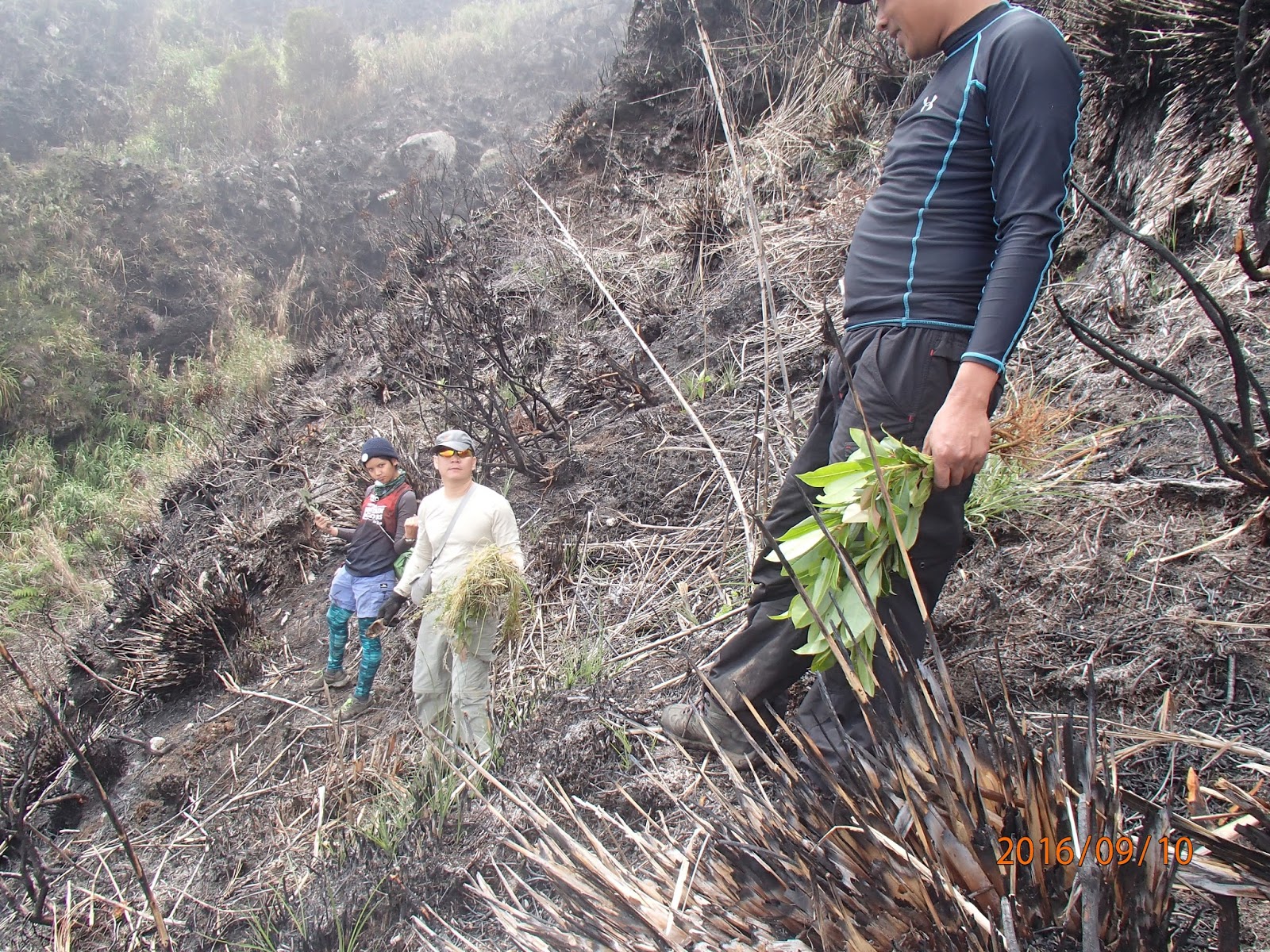 Romi Garduce: 25000 Trees - Reforestation Project