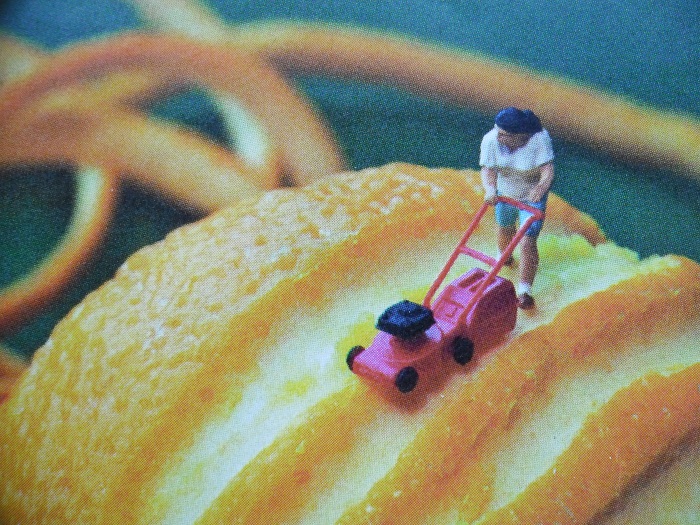 Nostalgia, Mystery And Arty Gardens.: ART WITH A DIFFERANCE- "-FOOD ART ...