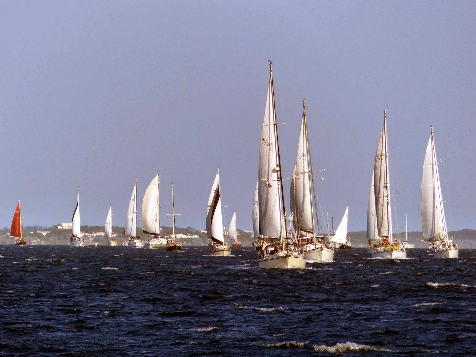 Exuberant Sailing: Exploring More Remote Places