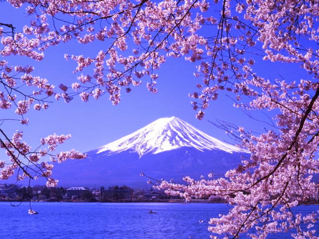 JapanDream: Springtime in Japan : the Sakura Dream blossoms.