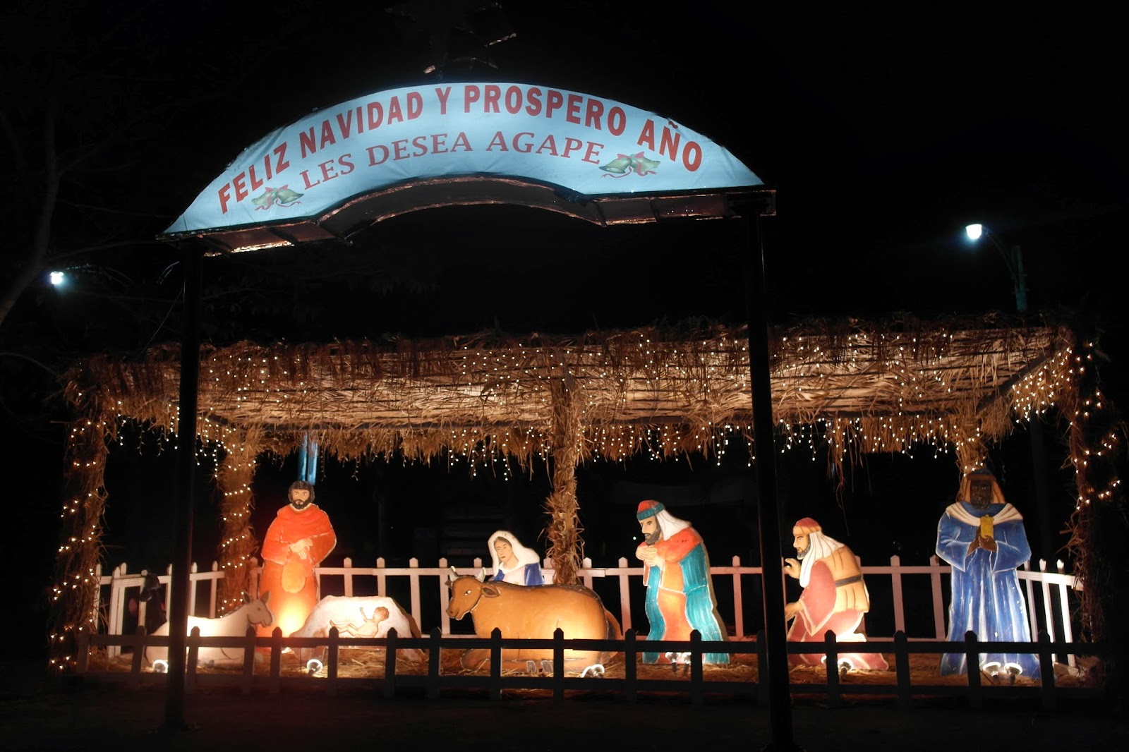 NACIMIENTO REDONDEL DE SONZACATE | CONOCE SONSONATE