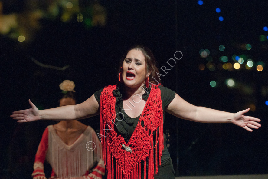 FLAMENCO Instantes y Luz: Anabel Castillo y su cuadro flamenco en el ...