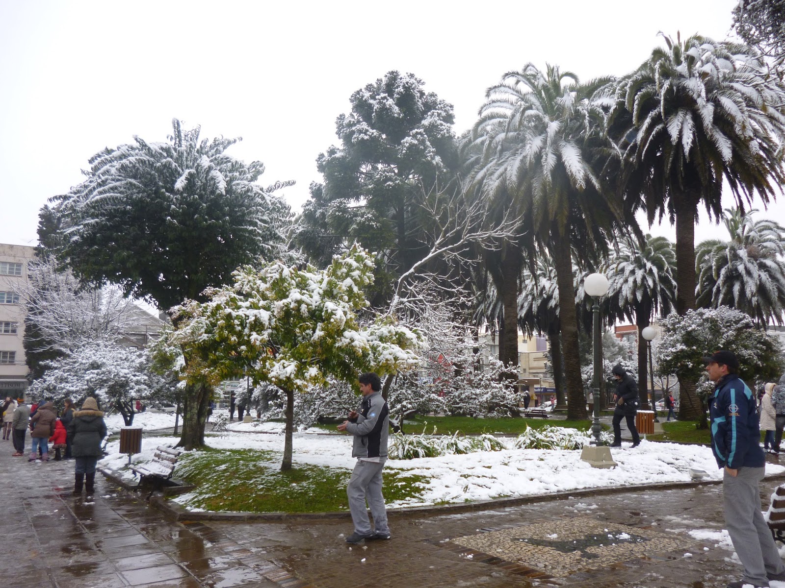 Jornal Negritude: Neve em Vacaria RS