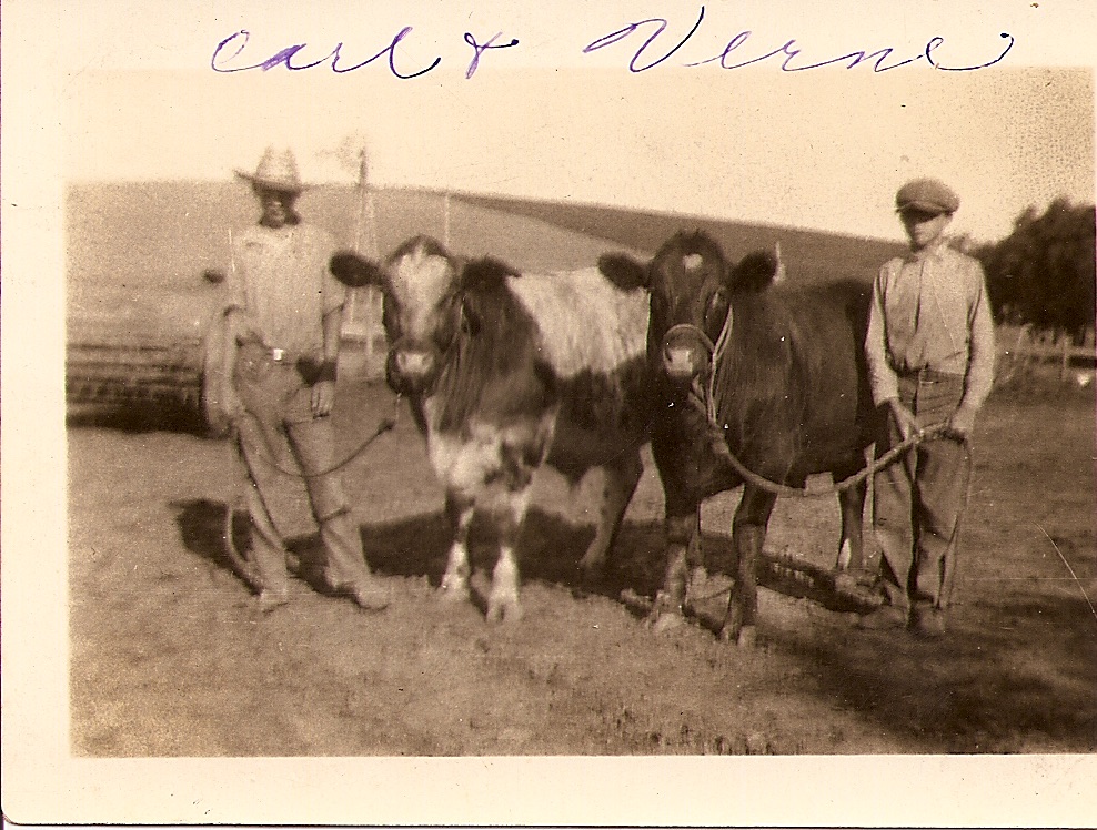 Rattling Old Bones: A Child's Life on a Nebraska Farm, 1920s