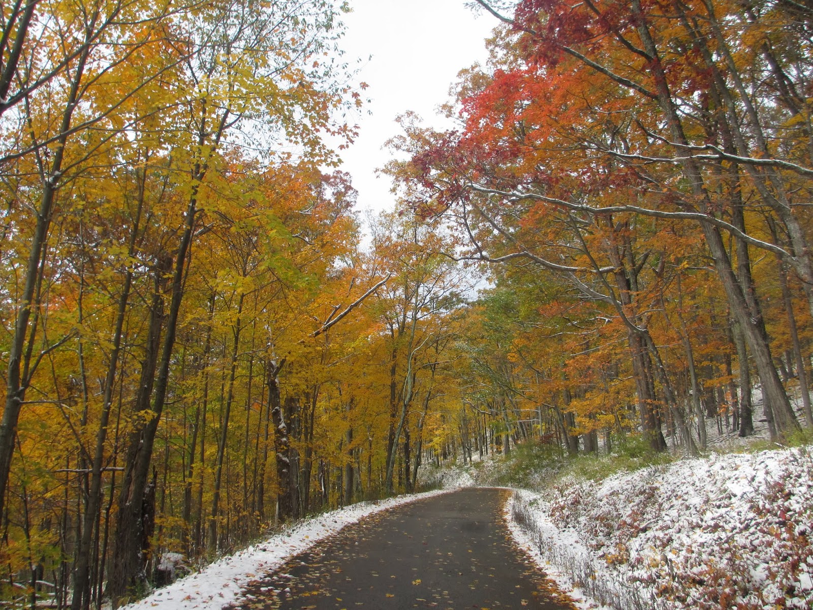 Cannundrums: Spruce Knob - High Point of West Virginia