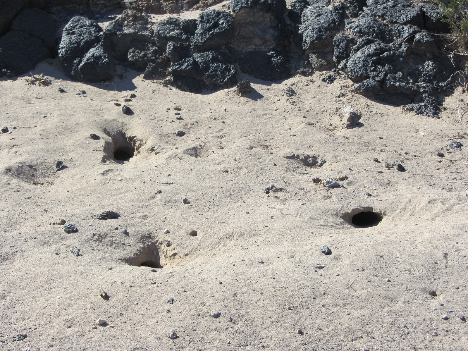 Neil & Barb's Travel Blog: "It's just you, me, and America"