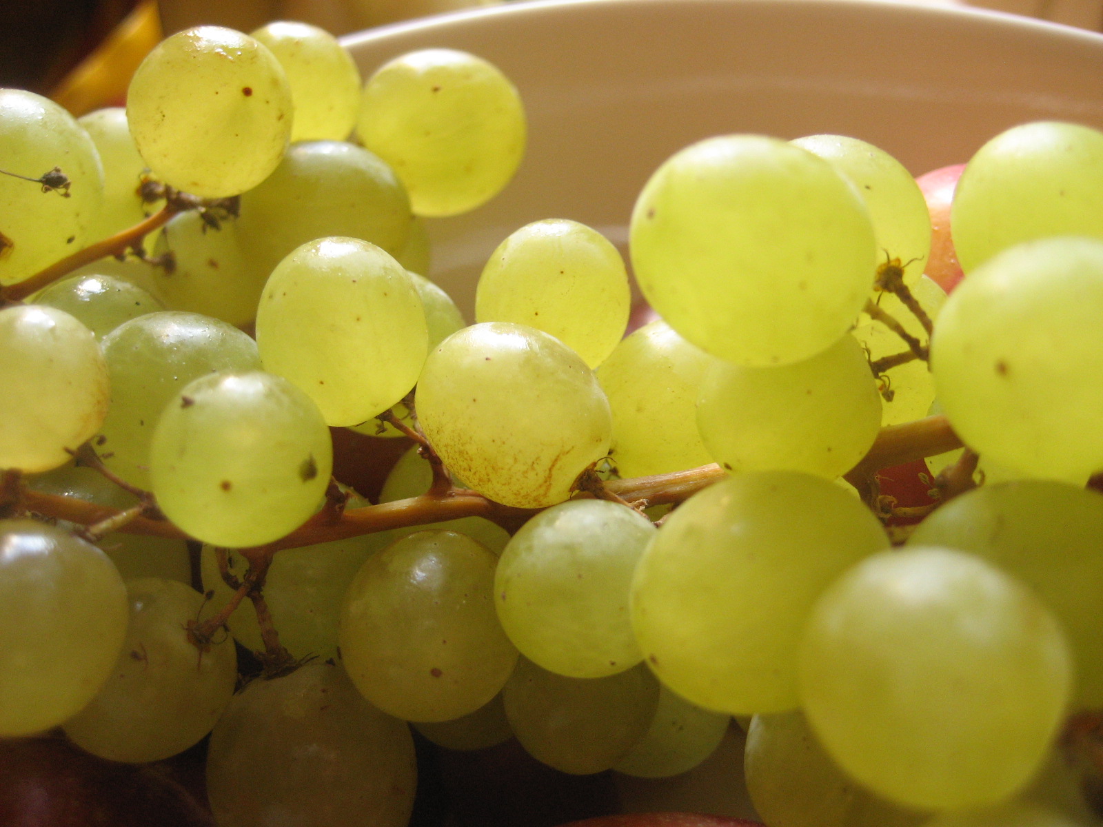 Homemade Trade: Dehydrating Fruit - Cook It! September Resolution: Raisins