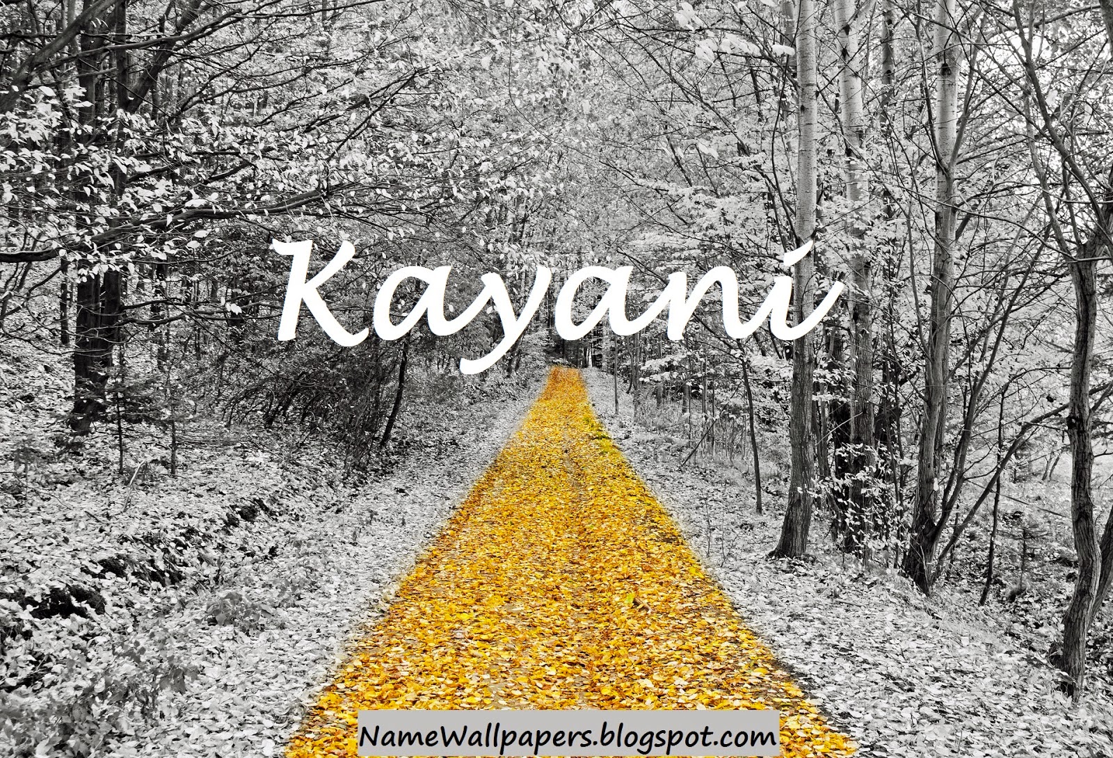 Kayani Name Wallpapers Kayani ~ Name Wallpaper Urdu Name Meaning Name ...