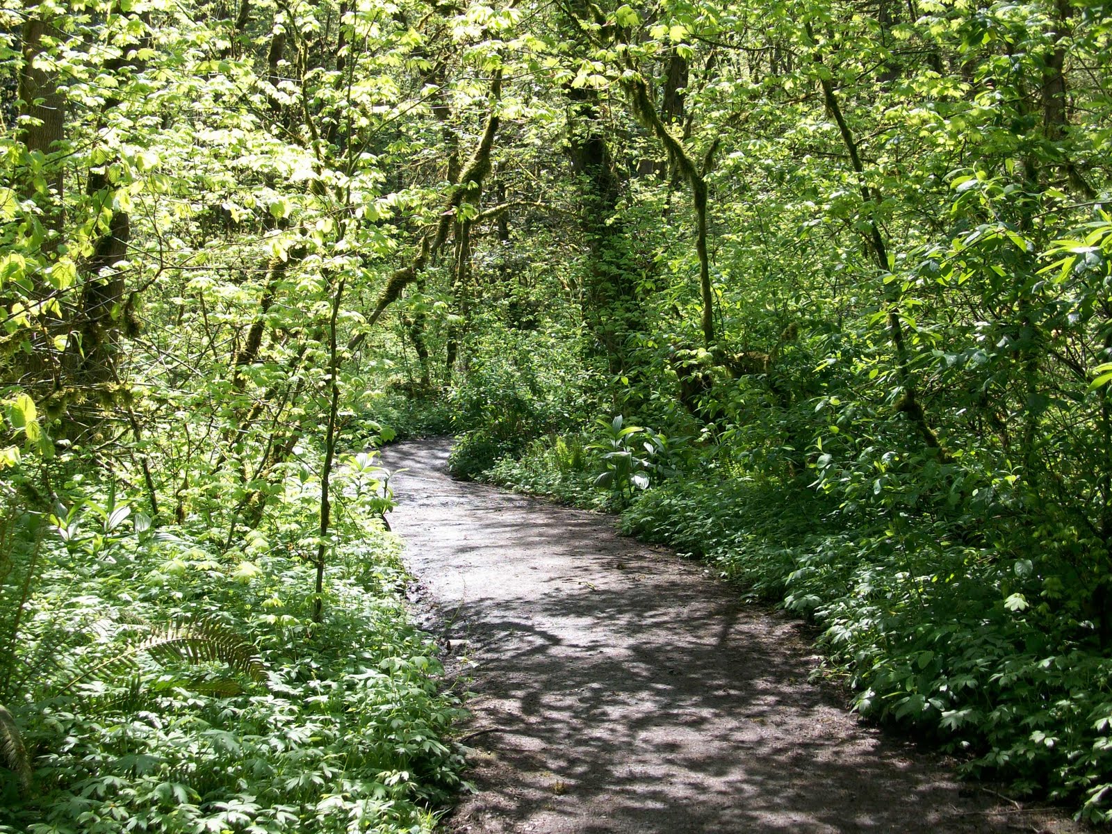 15 Hikes: Tryon Creek State Park