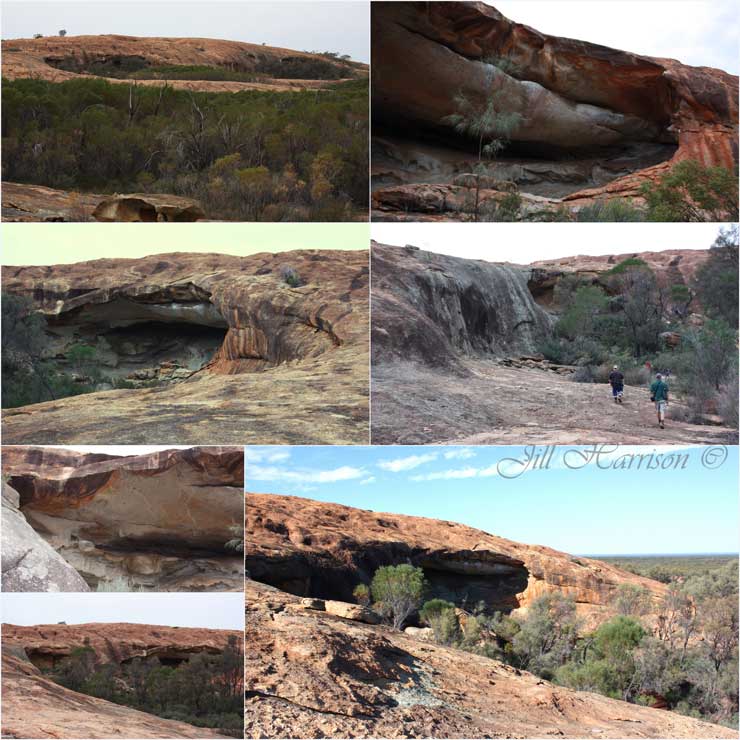 Life Images by Jill: Cave Hill, Burra Rock and the Woodlines, Western ...