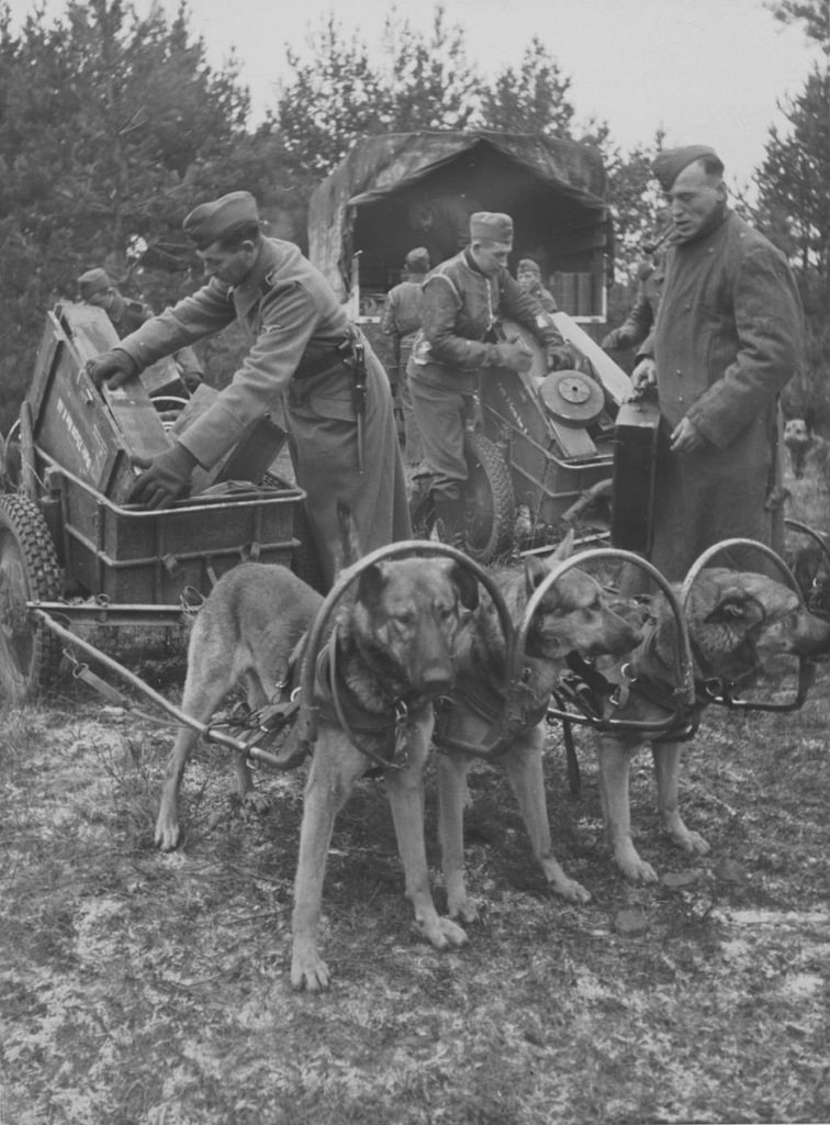 Η ΛΑΓΚΑ ΜΟΥ: 4 ΙΟΥΛΙΟΥ 1944