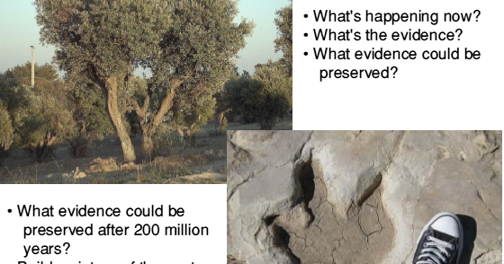 Earth Learning Idea: 'The present is the key to the past'