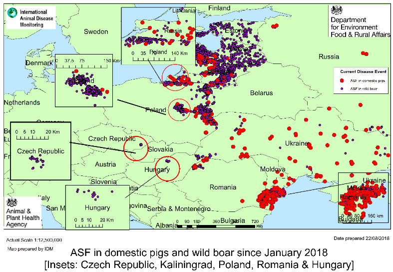 Avian Flu Diary: DEFRA: Update On African Swine Fever (ASF) In Eastern EU
