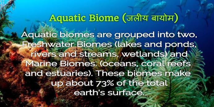 जलीय बायोम (Aquatic Biome)- Jaliy Bayom का अर्थ एवं Jaleey Bayom के ...