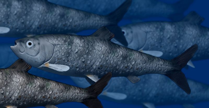 Los animales en la prehistoria: 2013