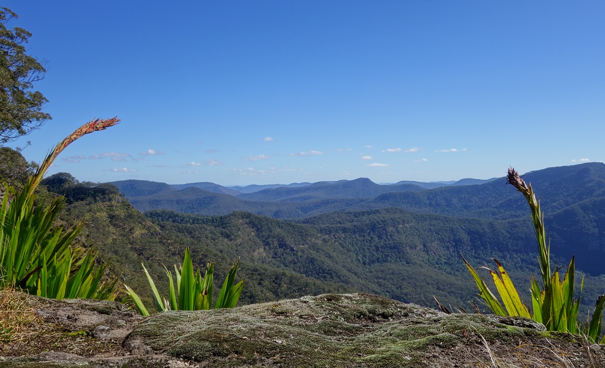 Conqueror of the Mountains of Australia in General and South East ...