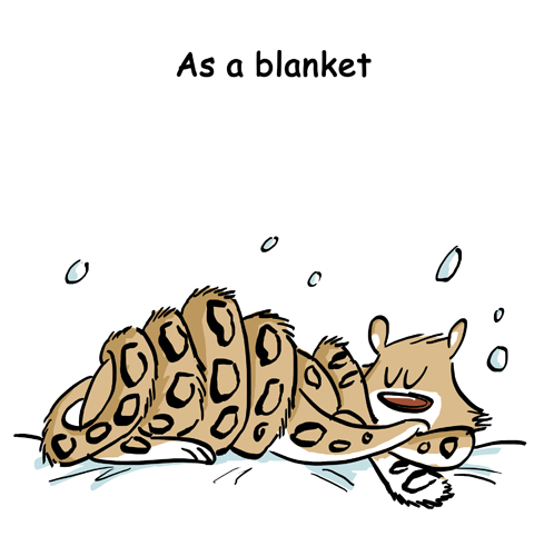 Green Humour: Uses of the Snow Leopard's Really Long Tail