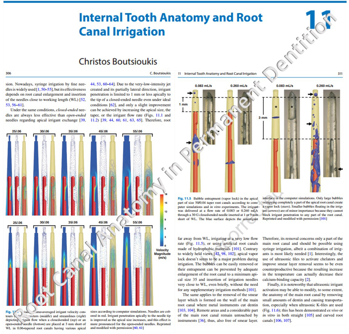 The Root Canal Anatomy Project: 2018