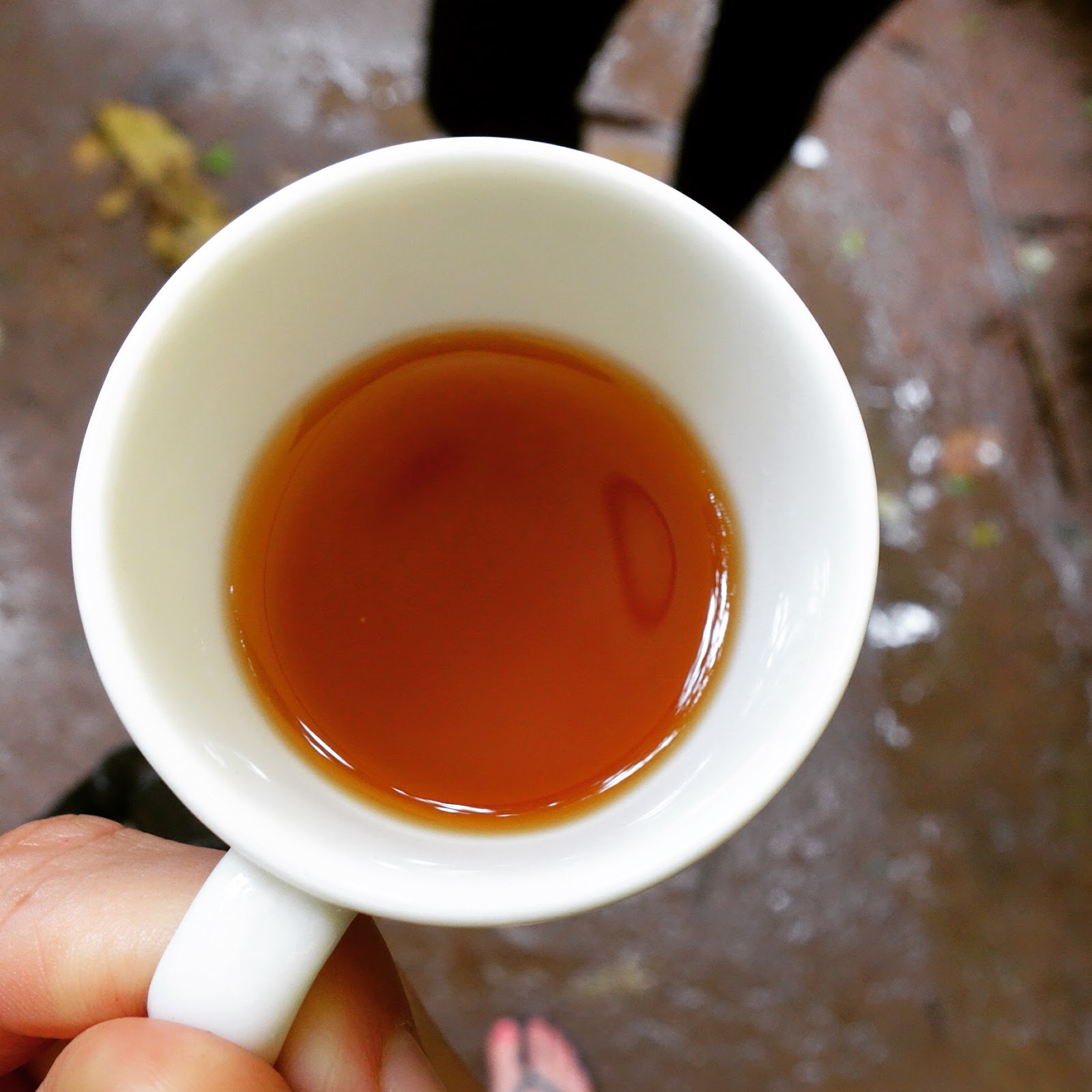 Luckgrove Ayurveda Gardens, Sri Lanka - Eat - Explore - Enjoy