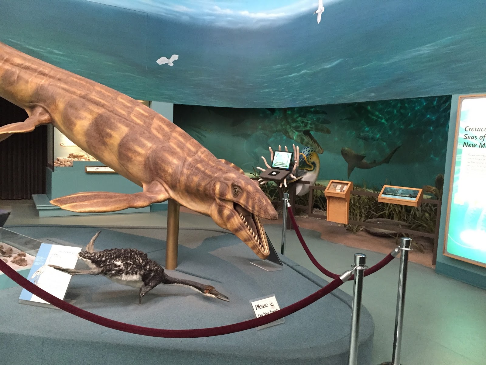 Stuckasaurus: New Mexico Museum of Natural History and Science