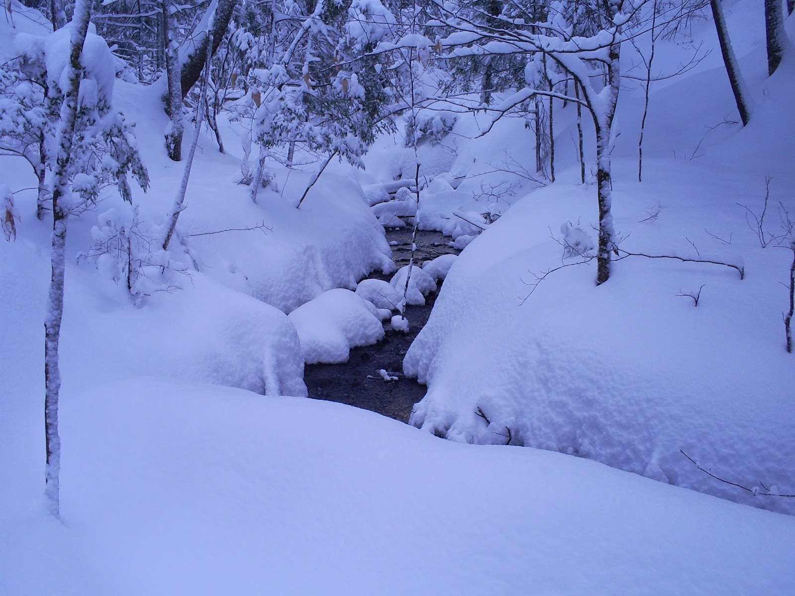 confluence, diffluence.