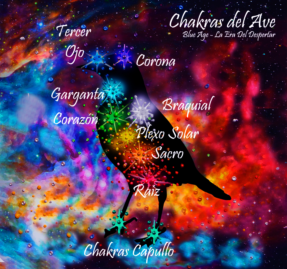 Blue Age - La Era del Despertar: Chakras en los Animales – 8 Chakras ...