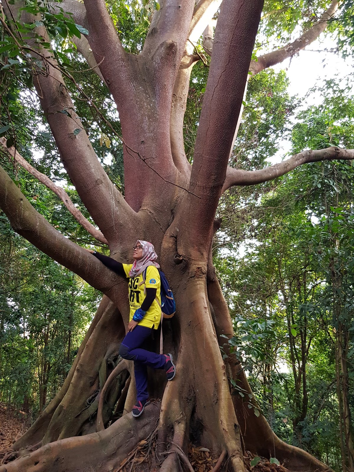 My SweeT JouRNeY 2 ReMeMBeR: Bukit Botak, Puncak Alam