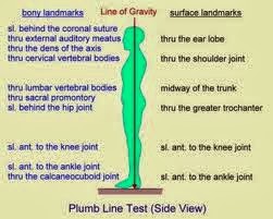 Strength On Demand: Plumb Line and Posture