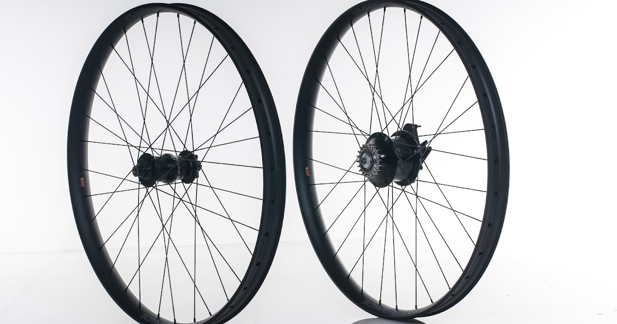 Cycle Monkey Wheel House: MTB: 29+ WTB Scraper Rims with Rohloff & SP ...